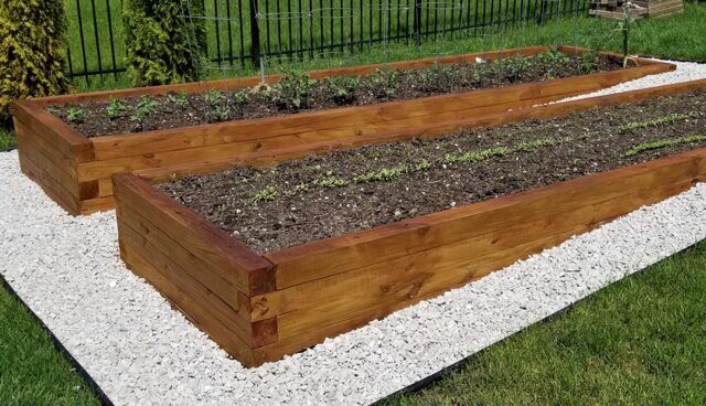 Beautiful Raised Bed Garden. Pressure-Treated Wood and Eco Natural Stain.